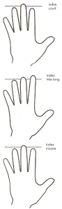 Interprétation doigts de la main : Index ou doigt de jupiter