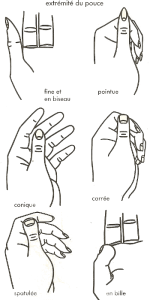 Interprétation doigts de la main : Pouce ou doigt de vénus