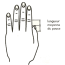 Interprétation doigts de la main : Pouce ou doigt de vénus