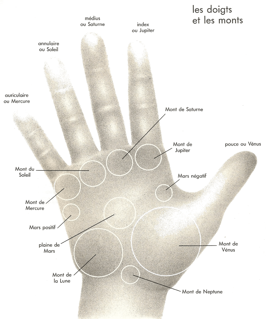 Main Air : Les intellectuels - Lignes de la main